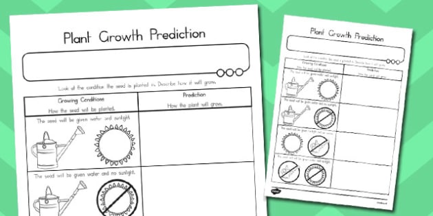 Plant Growth Prediction Worksheet (teacher made)