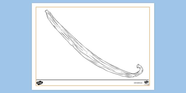 FREE! - Vanilla Pod Colouring Sheet | Colouring Sheets