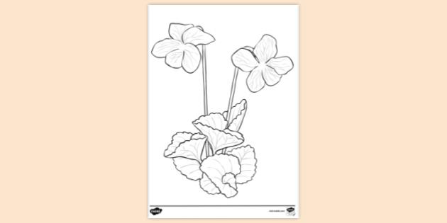 Colouring Page Violet | Colouring Sheets
