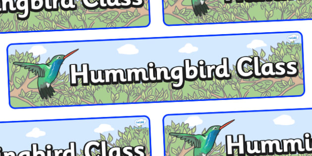 Hummingbird Themed Classroom Display Banner