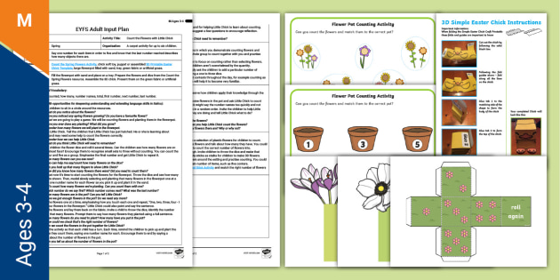 EYFS Count the Flowers with Little Chick Adult Input Plan and Resource Pack