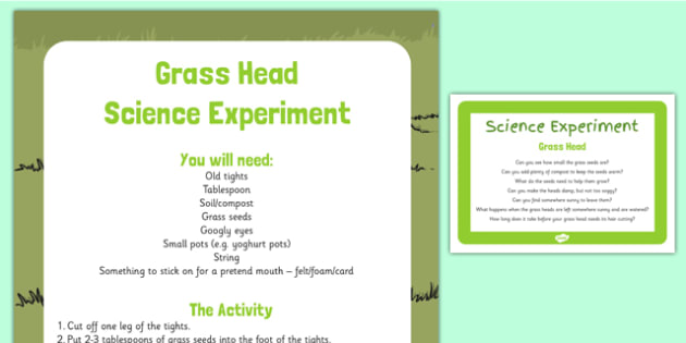 Grass Head Science Experiment (teacher made)