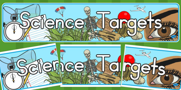 Science Targets Display Banner (teacher made)