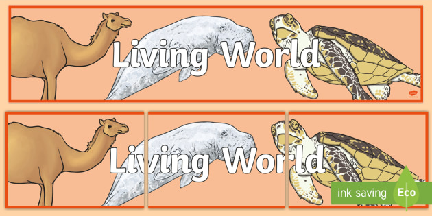 Living World Display Banner (teacher made)