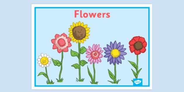 Floral Display Poster | Display Posters