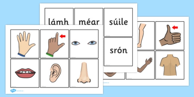 Parts of the Body Word and Picture Matching Cards Gaeilge