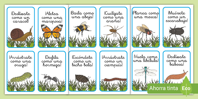 Tarjetas de movimiento: Los bichos (Teacher-Made)