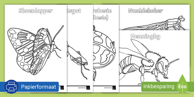 Insekte Inkleurblaaie (teacher made)