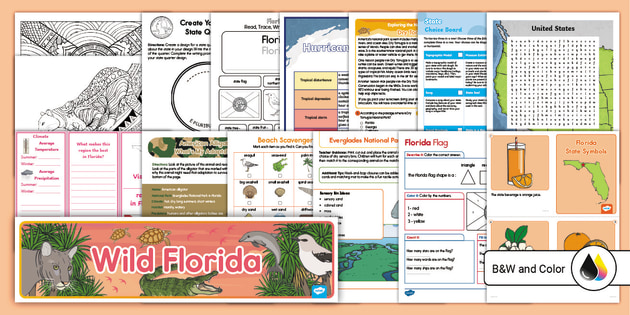 FREE Florida Teaching Pack (teacher made)