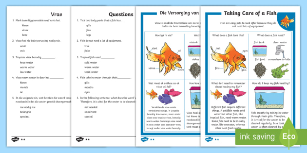 How to Look After a Fish Differentiated Reading Comprehension