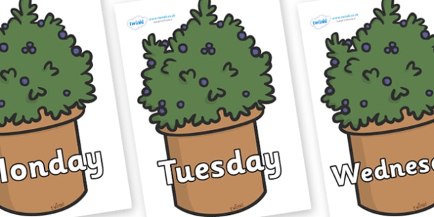 Days of the Week on Plants