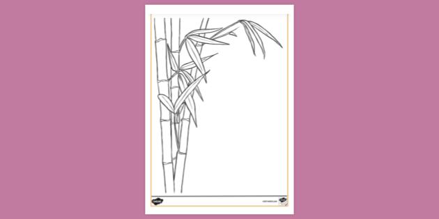 FREE! - Bamboo Colouring Page | Colouring Sheets