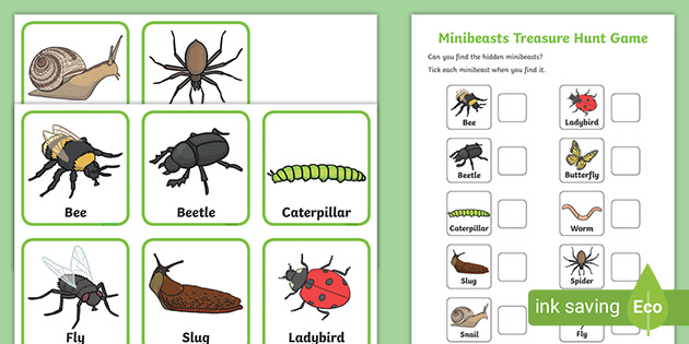 Minibeasts Treasure Hunt Game (teacher made)