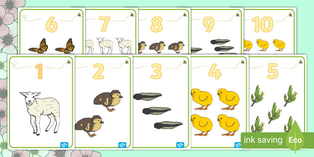 Springtime Number Posters (Teacher-Made)