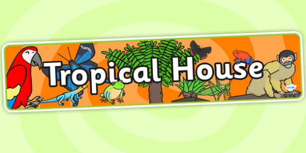 Tropical House Role Play Banner