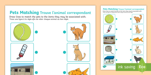 Pets Matching Activity English/French - Pets Matching Activity
