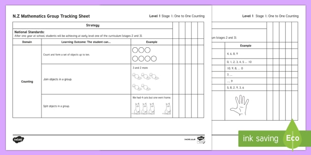 NZ Mathematics Group Tracking Stage 1 Checklist - New Zealand