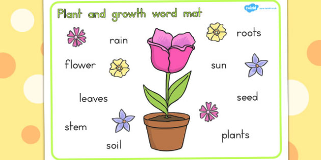 FREE! - Plant Growth Word Mat (teacher made)