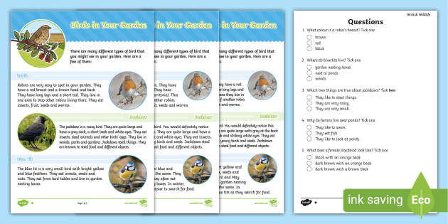 Birds in Your Garden Differentiated Reading Comprehension Activity