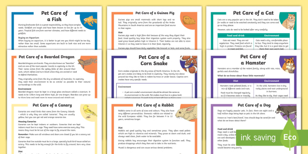 KS2 Pet Care Reading Comprehensions Pack (teacher made)