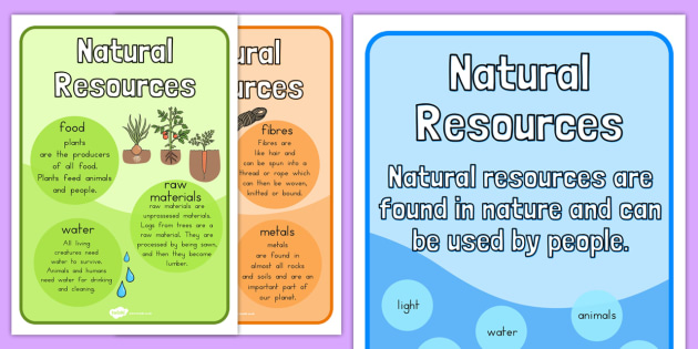 FREE! - Natural Resources Posters - Natural, Resources, Posters, Display