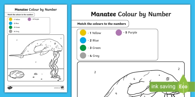 FREE! - Manatee Colour by Number (teacher made)