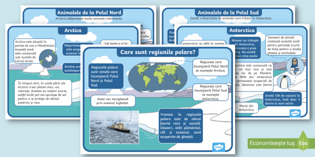 Regiunile polare – Planșe informative