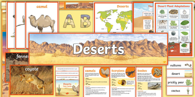 Deserts of the World Display Pack (teacher made)