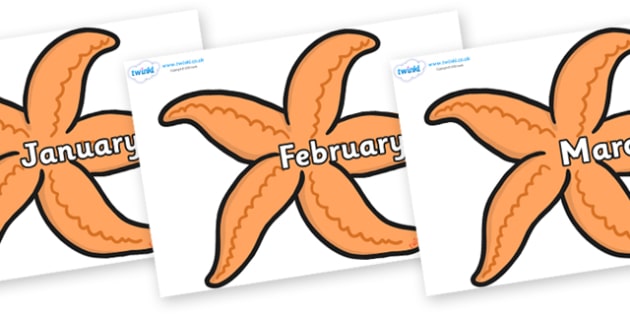 FREE! - Months of the Year on Starfish (Teacher-Made)