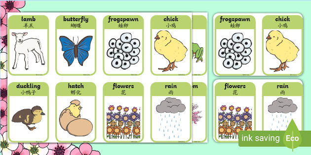 Spring Pictures and Word Cards - English/Mandarin Chinese