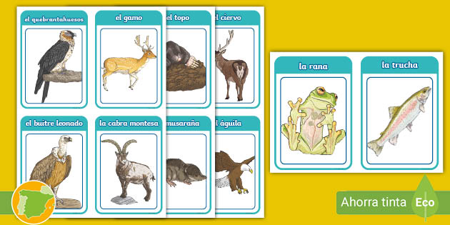 Tarjetas educativas: Animales de España