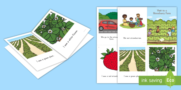 Visit to a Strawberry Farm Emergent Reader - strawberries, strawberry ...