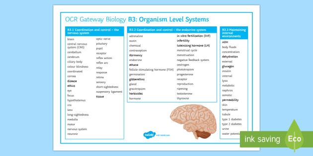 OCR Gateway Biology Topic B3 Organism Level Systems Word Mat