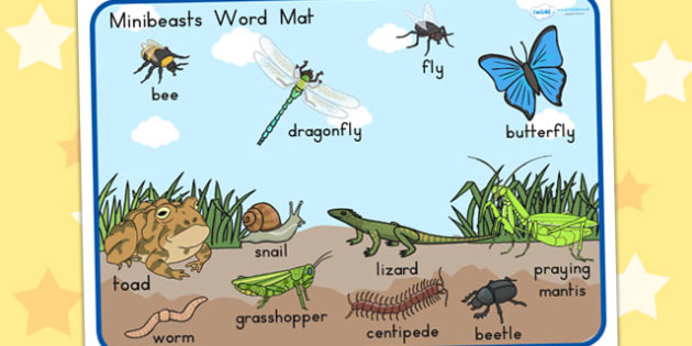 FREE! - Minibeasts Scene Word Mat (teacher made)
