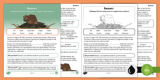 North American Beavers Cloze Activity (teacher made)
