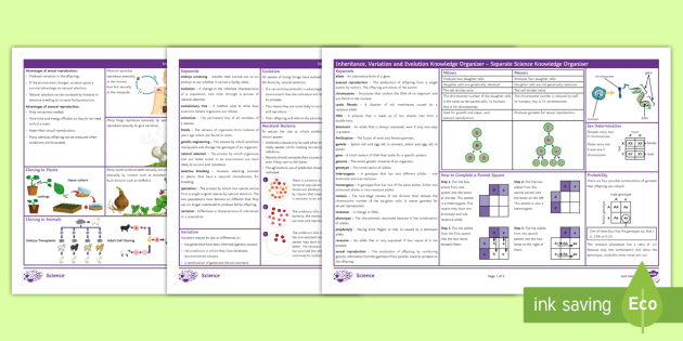 * NEW * GCSE Inheritance, Variation and Evolution Knowledge Organiser