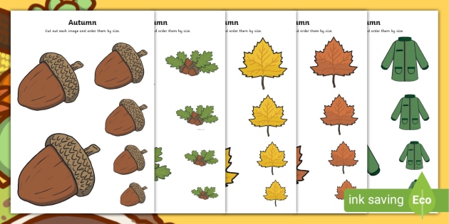 Autumn Size Ordering (teacher made)
