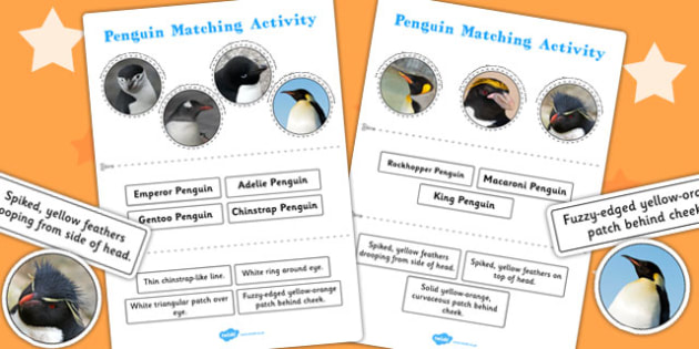 Penguin Matching Activity (teacher made)