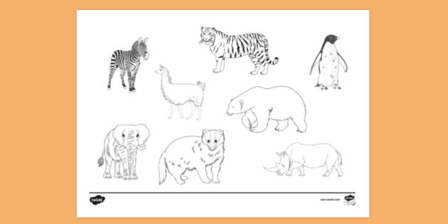 FREE! - Animal Collage Colouring | Colouring Page