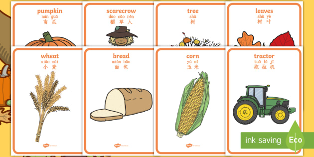 Autumn Display Poster English/Mandarin Chinese - Autumn Display Posters