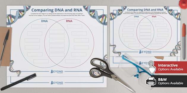 Dna And Rna Venn Diagram