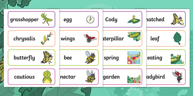 The Cautious Caterpillar Word Cards (teacher made)