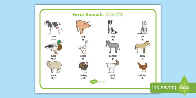 On the Farm Word Mat - English/Mandarin Chinese