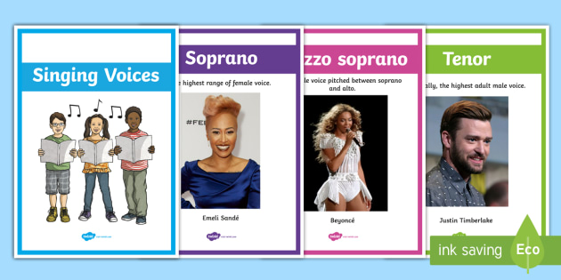 Singing Voices Display Posters (teacher made)