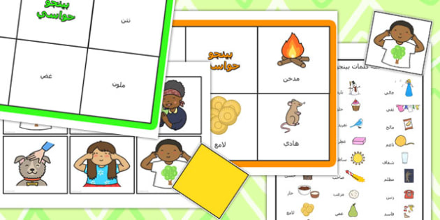 بينجو حواسي - حواسي، الحواس الخمس، حواس الإنسان