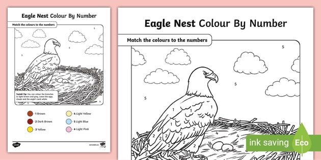 FREE! - Eagle Nest Colour by Number (teacher made)