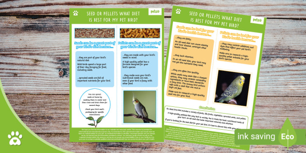 Seed or Pellets - Best Diet for My Pet Bird? - Twinkl Pets