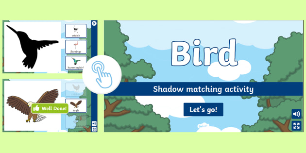 Interactive Bird Shadow Matching Activity | Twinkl Go!