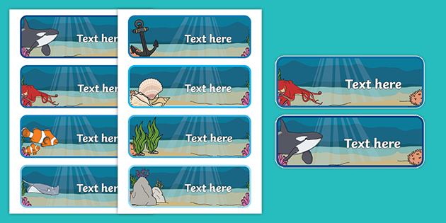 Ocean Tote Tray Labels (teacher made)