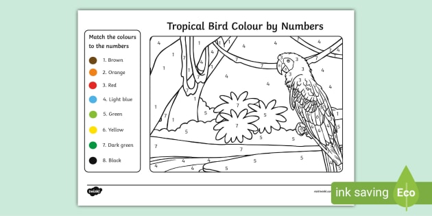 FREE! - Tropical Bird Colour by Number (Teacher-Made)